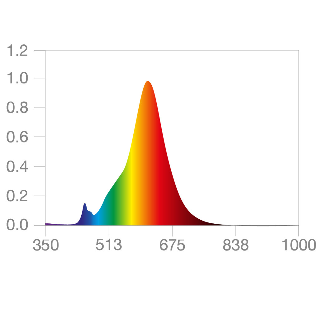 Smart+ WiFi Filament Globe Tunable White 2200K